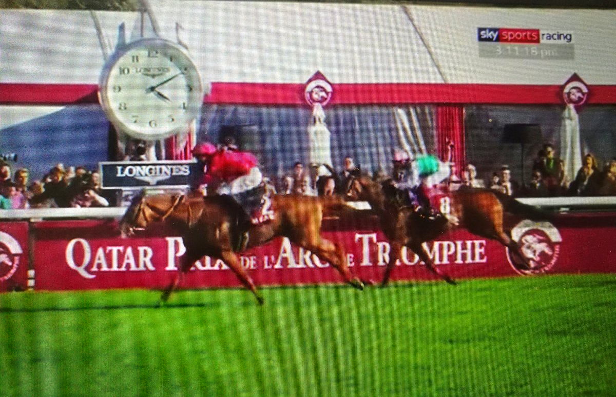 Waldgeist, the prodigious sire | The Thoroughbred Link