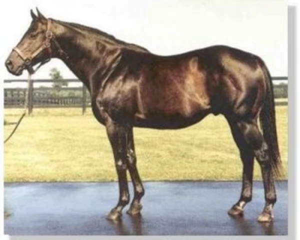 classic speed: filly Daddysruby (USA) | The Thoroughbred Link