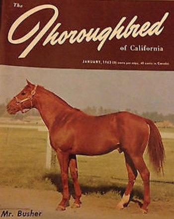 racing royalty: Idiomatic (Curlin) | The Thoroughbred Link